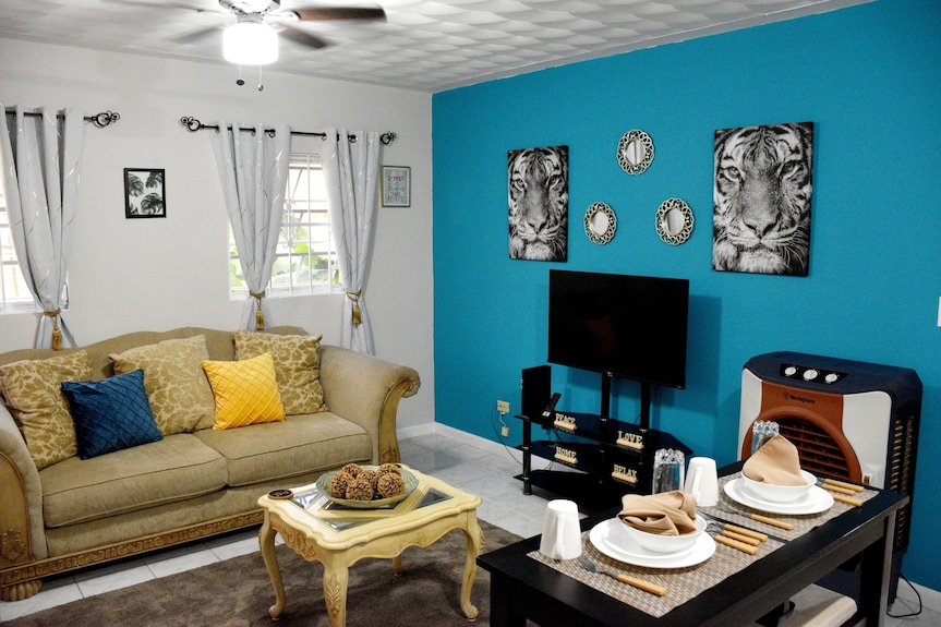 Beautifully Spacious 1bdr/ Free Parking - Nassau