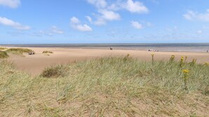 Uma praia com dunas de areia e vegetação rasteira em primeiro plano.