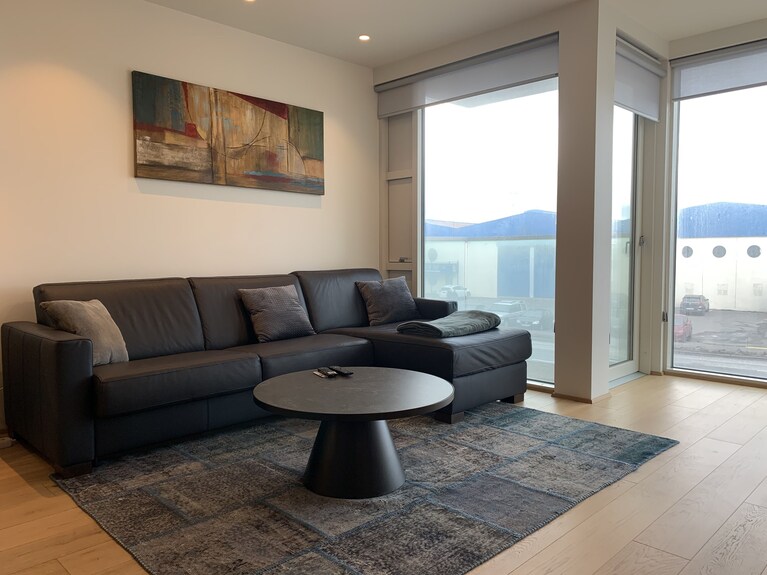 Center Apartment In Reykjavik, Ocean View. Downtown. Fantastic Location. - Reykjavik