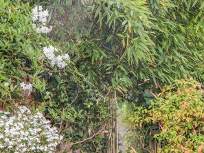 Terrenos do alojamento