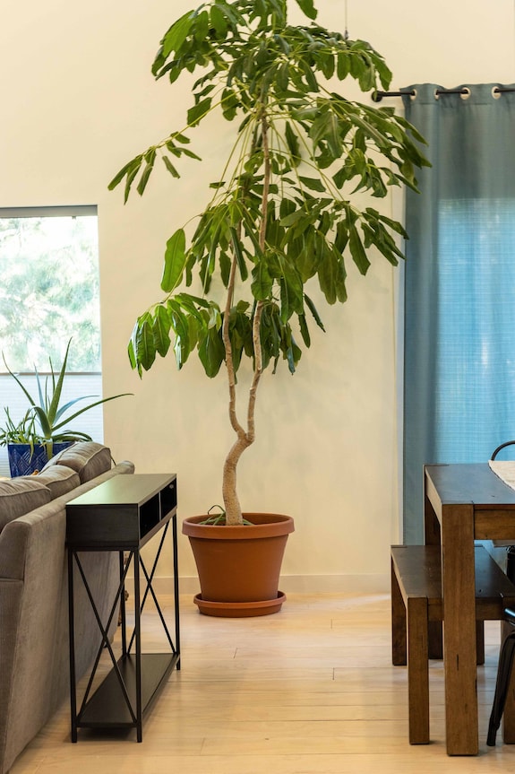 Winthrop Basecamp-new Trailside Vacation Home 15 Min Walk To Downtown! - 윈스럽