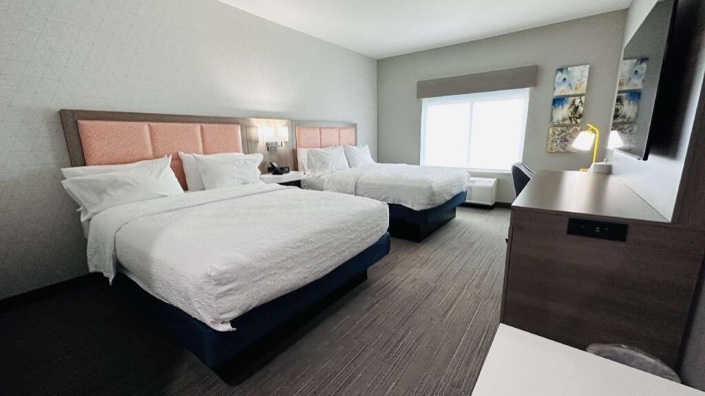 Roupas de cama de algodão egípcio, roupas de cama premium