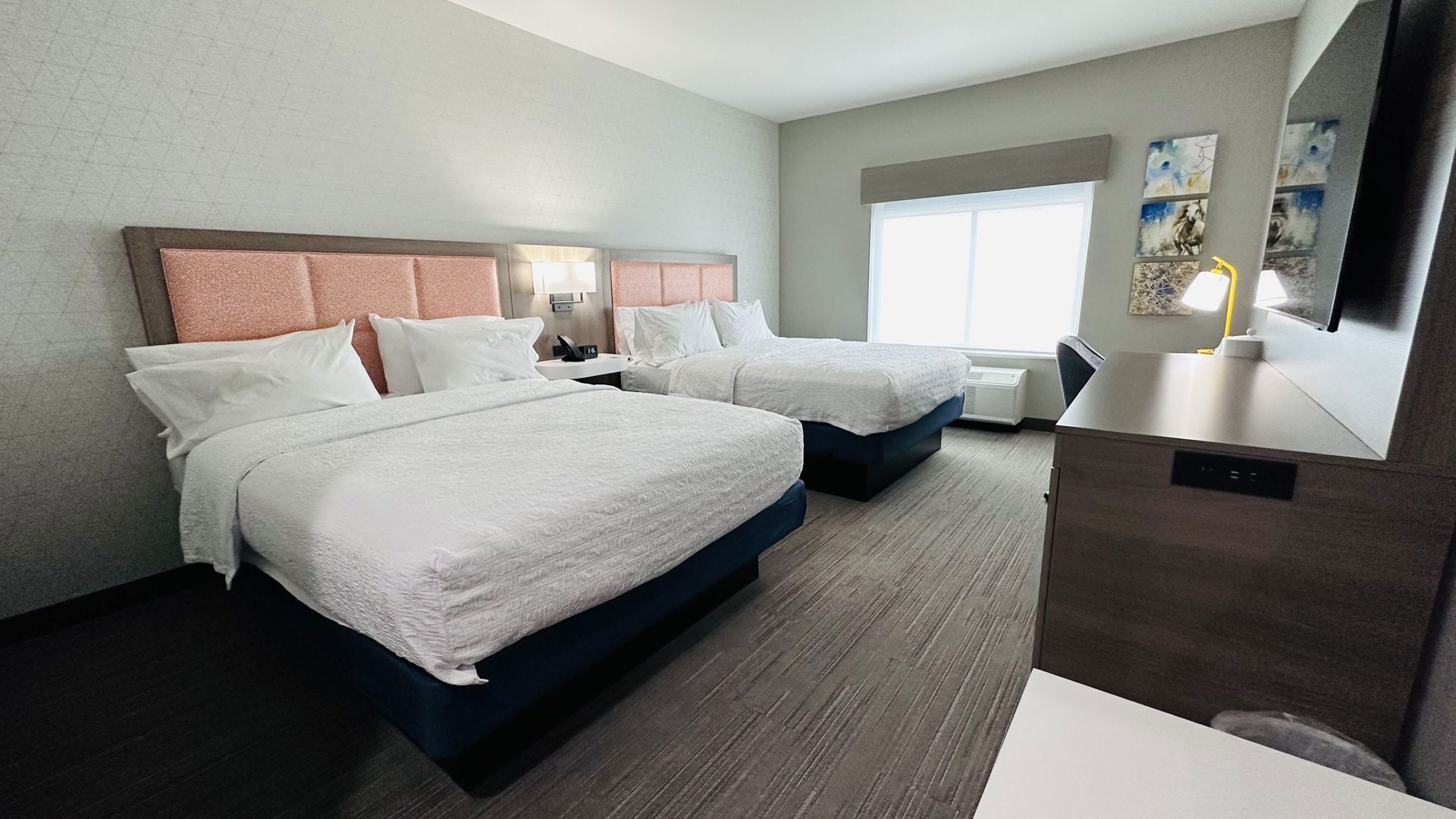 Roupas de cama de algodão egípcio, roupas de cama premium
