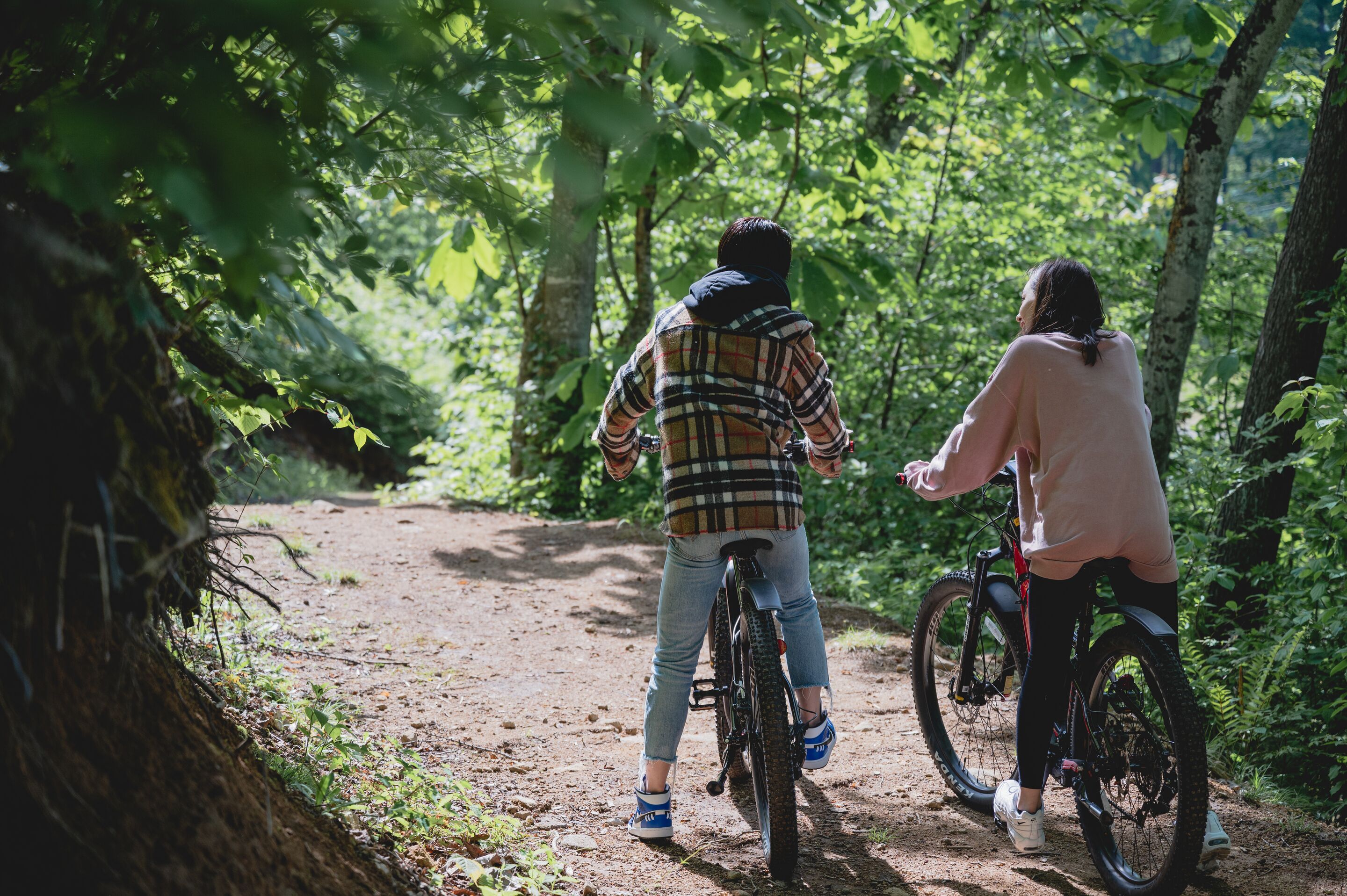 Duas pessoas em bicicletas numa trilha de terra em área arborizada.