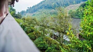 Terrenos do alojamento