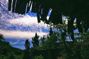 Jardim