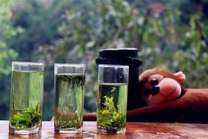 Comodidades da propriedade