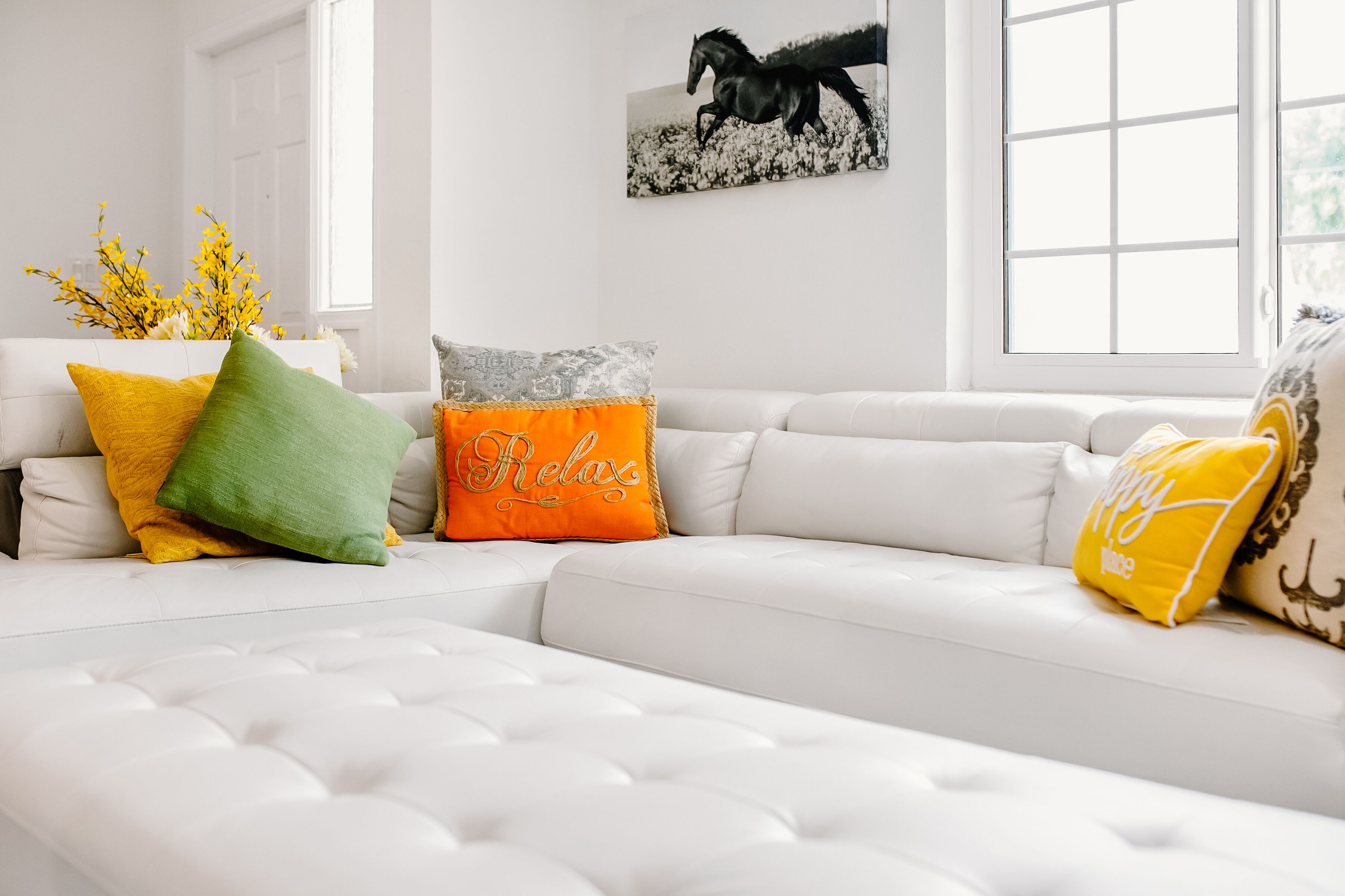 The Paradise - Naples, FL