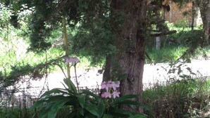 Quarto, 1 quarto, pátio, vista para o jardim | Jardim