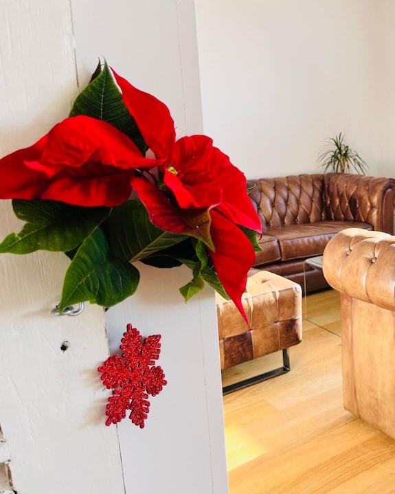 Villa La Chaumine, Sea View, Quiberon, 10 Pers, Full Sea View - Breton