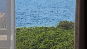 Vista do mar através de uma janela, com uma massa de terra distante e vegetação abaixo.