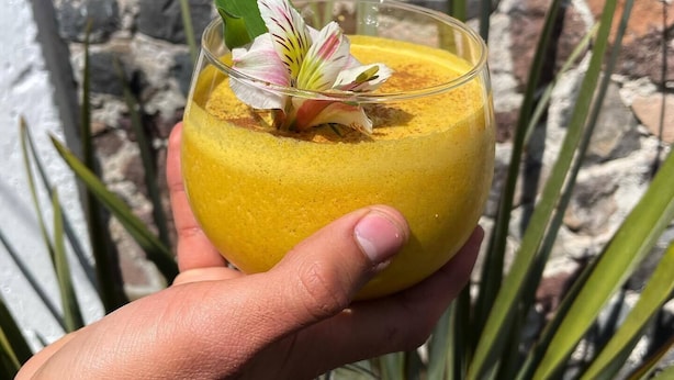 Uma mão segurando um copo com bebida amarela, decorado com uma flor, com um muro de pedra ao fundo.