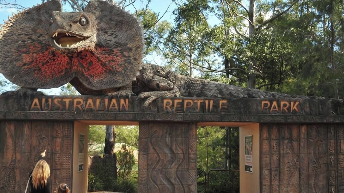 Placa para o Australian Reptile Park com uma grande escultura de réptil.