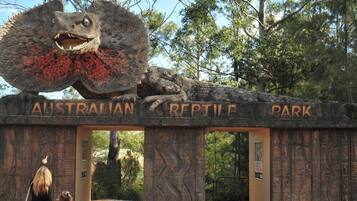 Placa para o Australian Reptile Park com uma grande escultura de réptil.