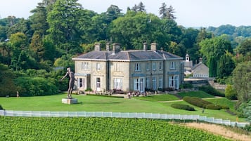 Vista para o vinhedo