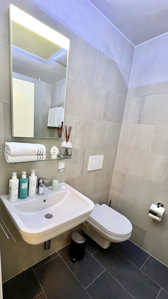 Lugano Lake Nature Bicycle Airport Train New Structure - Switzerland