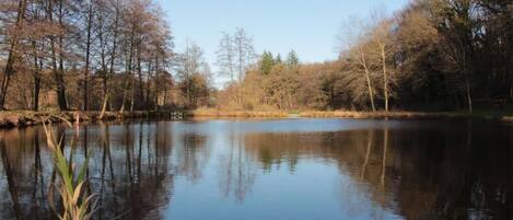 Um lago tranquilo rodeado de árvores.