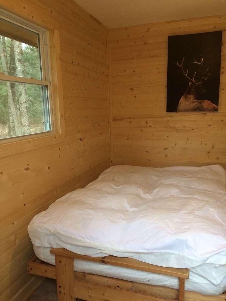 Cozy Cottage Nestled In The Pines On The Muskoka River - Bracebridge