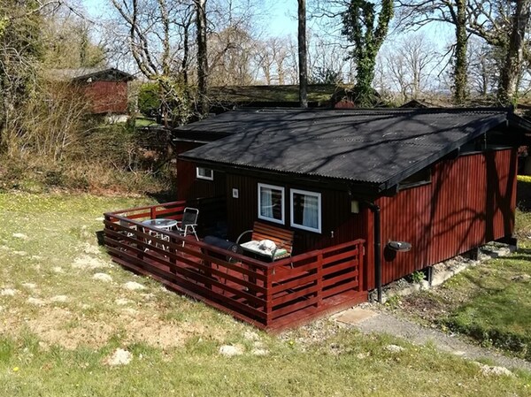 Nuthatch Lodge Is Set In 24 Acres Of Wood, Parkland Near The Village Of Cenarth - Ceredigion