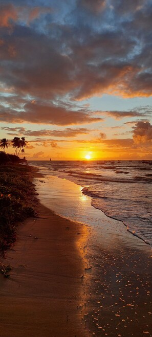 Perto da praia, praia de areia branca