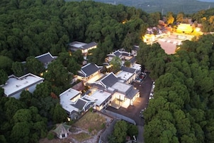 Área residencial com várias casas cercadas por árvores densas.