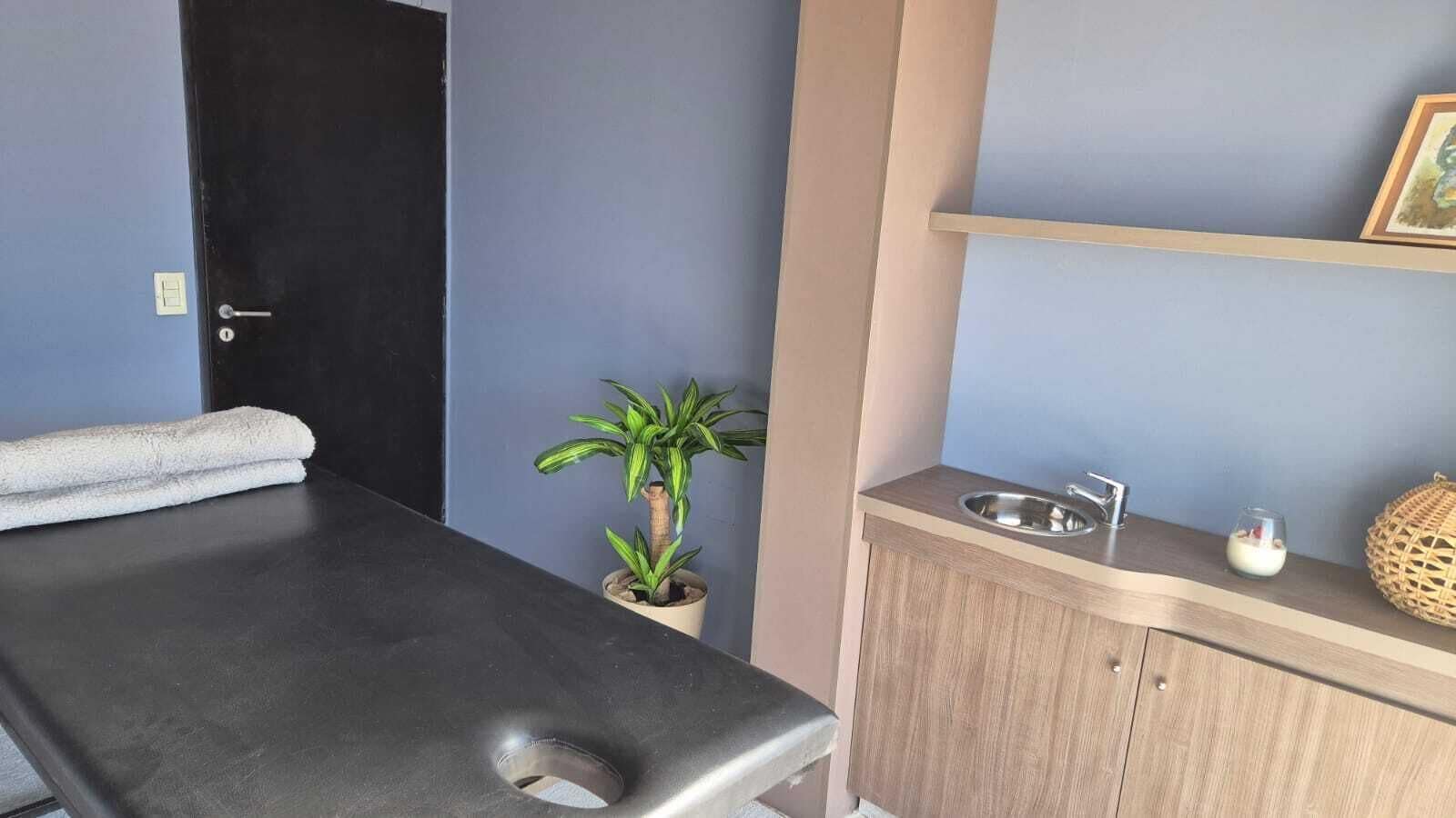 Um quarto com uma mesa de massagem, uma pequena planta em vaso, uma pia e uma estante com um quadro e uma cesta.