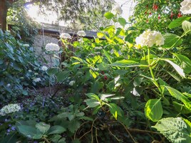 Casa de campo | Parte interna