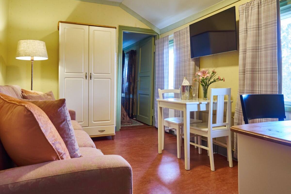 Um quarto aconchegante com sofá, uma mesa de jantar com cadeiras, um armário e uma TV.