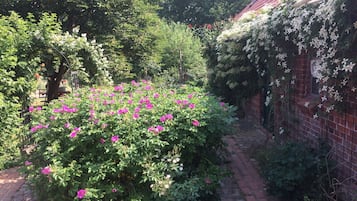 Jardim