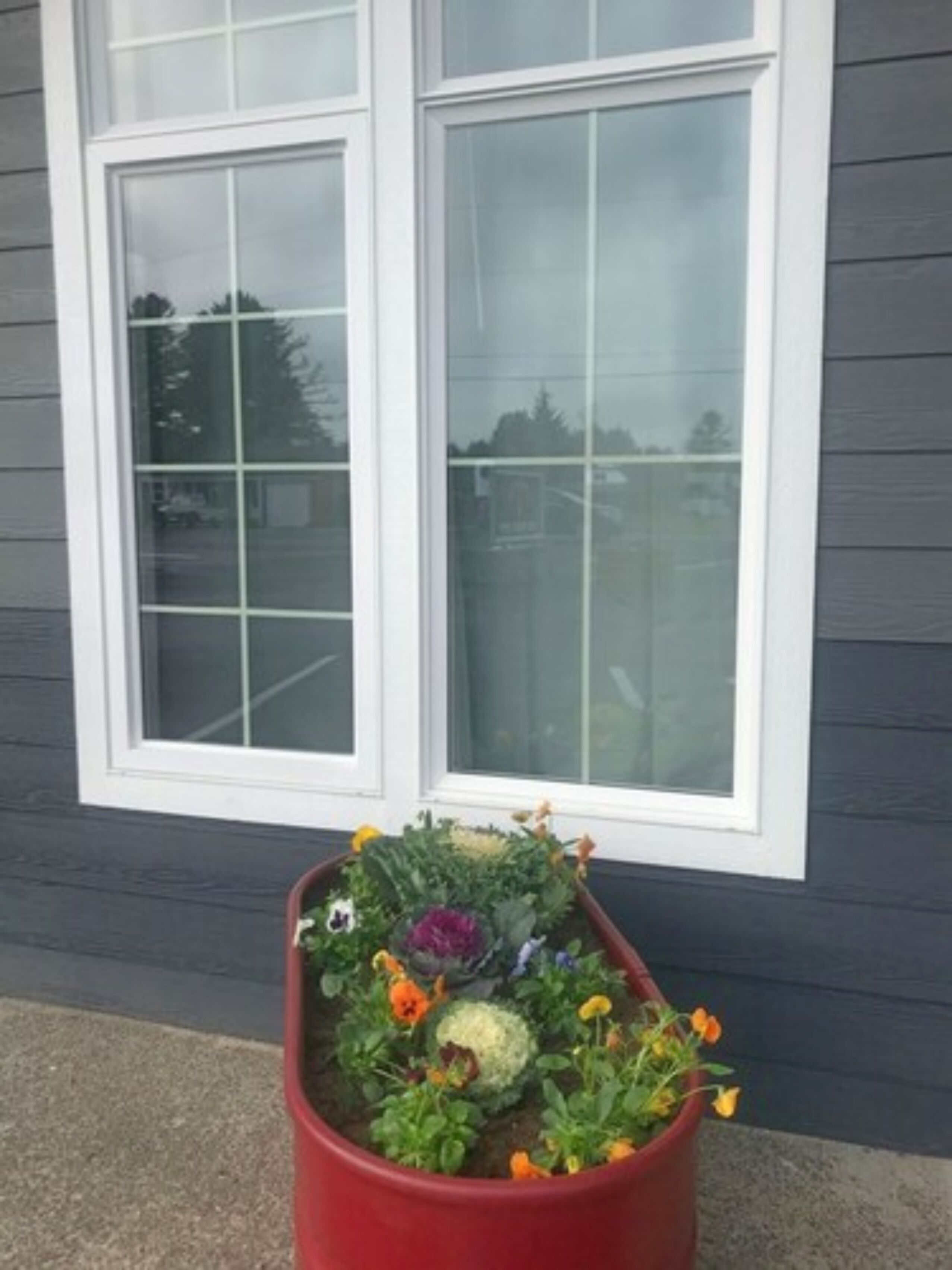 Uma jardineira com diversas plantas e flores em frente a uma casa com revestimento escuro e detalhes brancos.