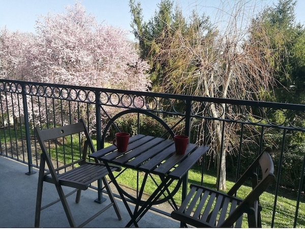 Charmant T2 Proche Centre Ville ( Côté Pavé) - Balma