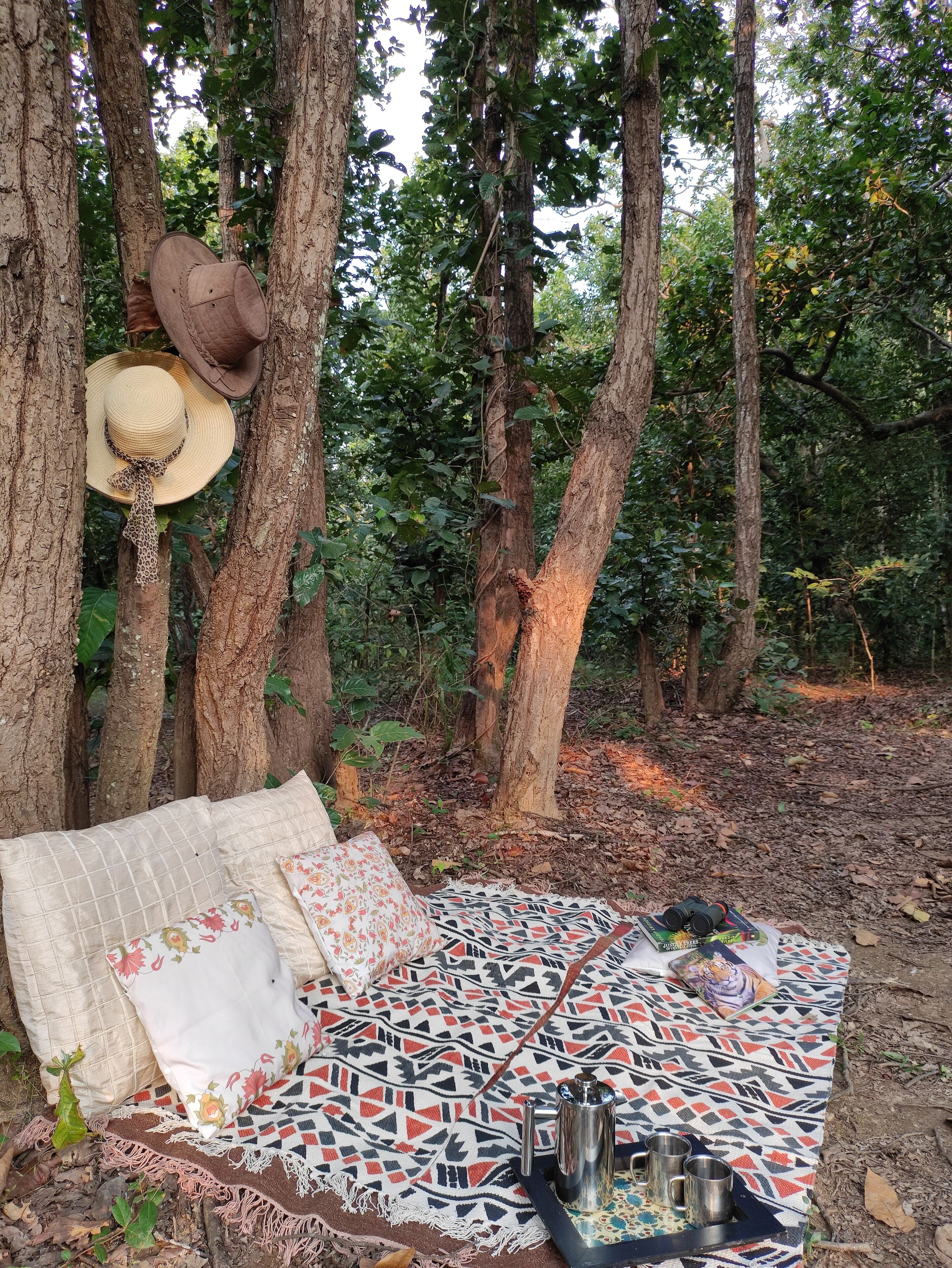 Cenário de floresta com um piquenique montado, incluindo uma manta, almofadas e uma bandeja de metal com copos e uma garrafa térmica.