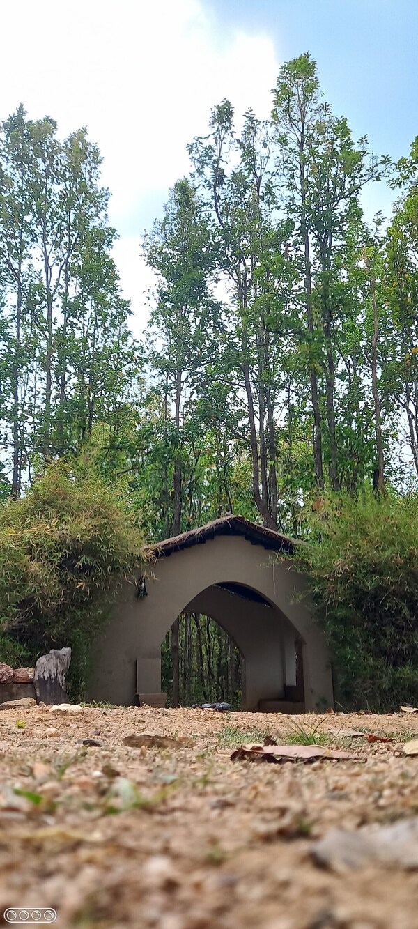 Saccharum Safari Lodge - Chhattisgarh