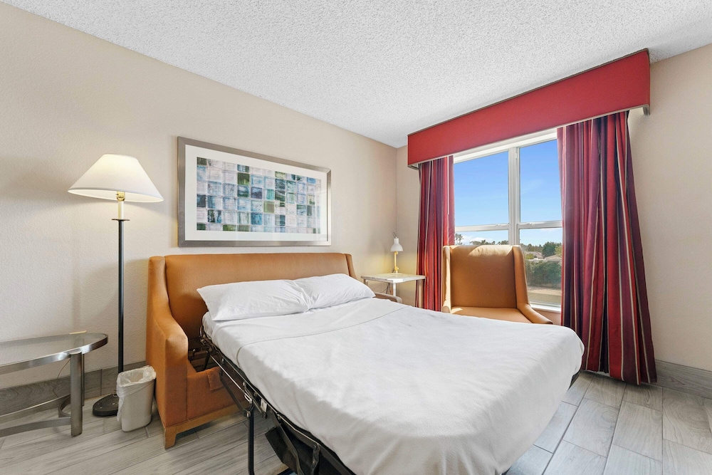 Scottsdale 1 Bd King Economy - Scottsdale, AZ