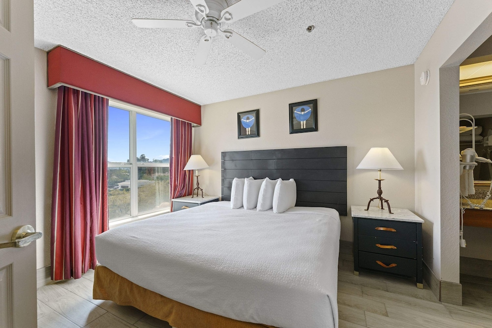 Scottsdale 1 Bd 1 Ba Furnished Apartment - Scottsdale, AZ