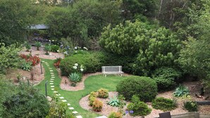 Jardim