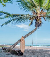 Perto da praia, praia de areia negra 