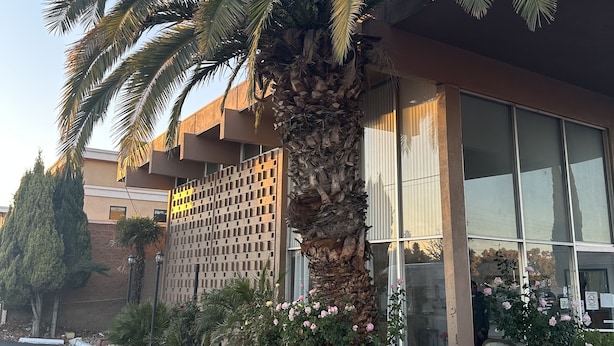 Um edifício com uma palmeira na frente, um muro de tijolos e um estacionamento.