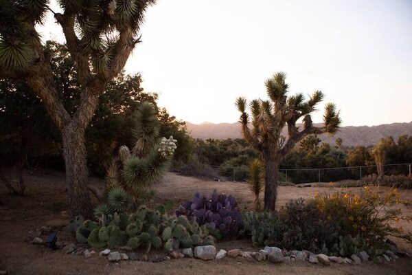 The Perfect Desert Retreat For Relaxation With Modern Conveniences, Shopping, And Dining Nearby - Joshua Tree, CA