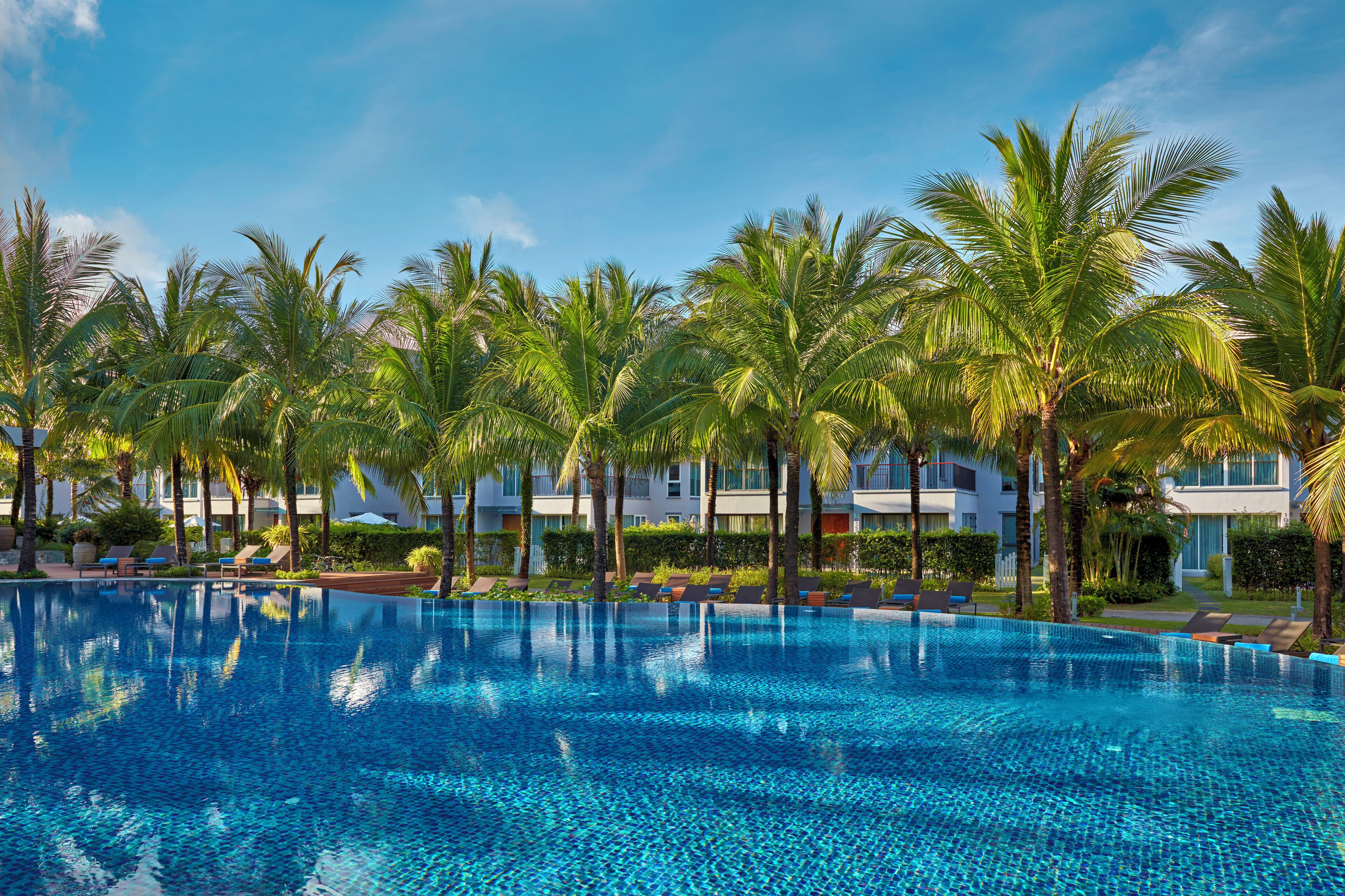 Piscina rodeada por palmeiras e um edifício de hotel com vários andares e varandas.
