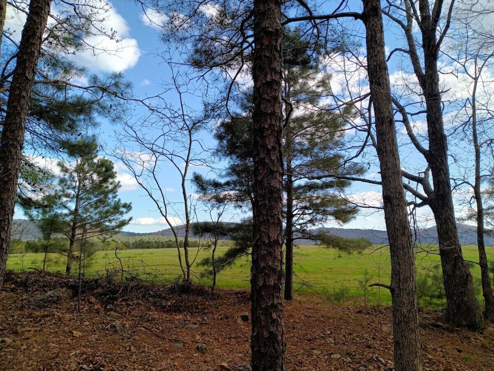 Fern Dell: A Woodland Glamp - Heated Tent! - Hot Springs, AR