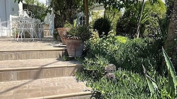 Jardim