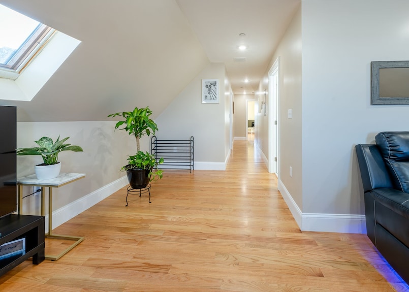 Pet-friendly Boston Home Parking 5 Minutes To Franklin Park Zoo 233/3 - Boston, MA