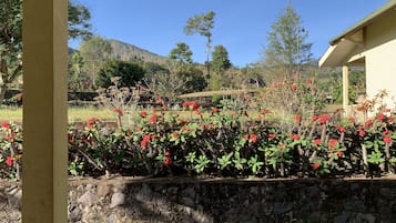 Vista da propriedade