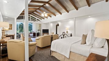 Quarto Premier, 1 cama king-size | Ferro/tábua de engomar, Wi-fi grátis