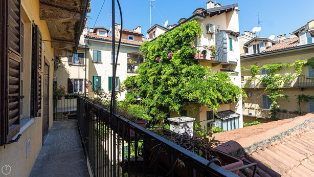 Uma passagem estreita ladeada por edifícios, com varandas adornadas com plantas em vasos e uma árvore ao centro.