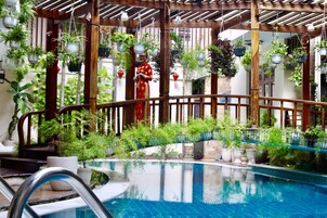 Uma área de piscina com deck de madeira, plantas em vasos e piscina azul límpida.