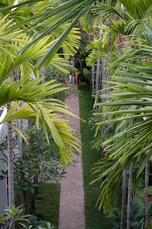 Suite with Terrace | Vista para o jardim