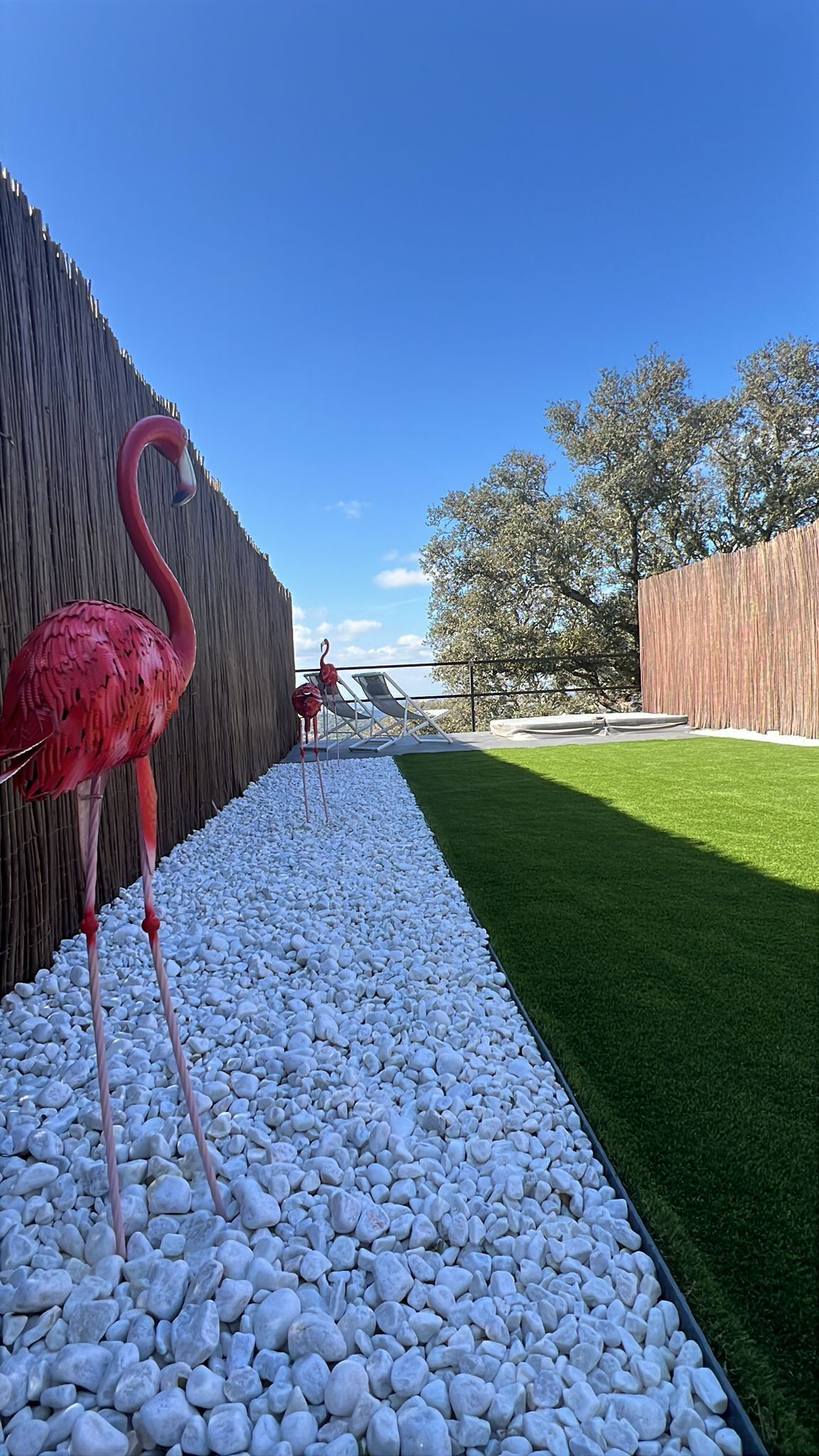 Um caminho com pedrinhas brancas leva a um gramado verde, com dois flamingos e uma cerca de madeira ao fundo.