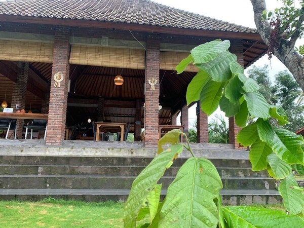 Kampung Coklat Jembrana - Bali